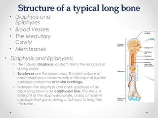Introduction to osteology | PPT