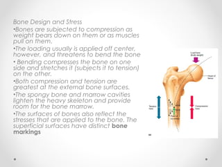 Introduction to osteology | PPT