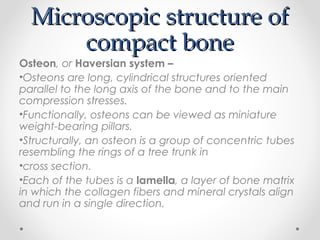 Introduction to osteology | PPT