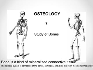 Introduction to osteology | PPT