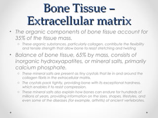 Introduction to osteology | PPT