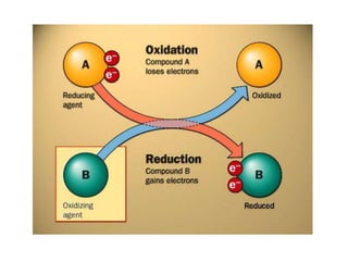 Introduction to oxidation | PPT