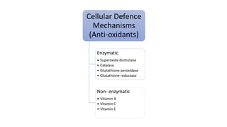 Introduction to Oxidative Stress and its role | PPTX