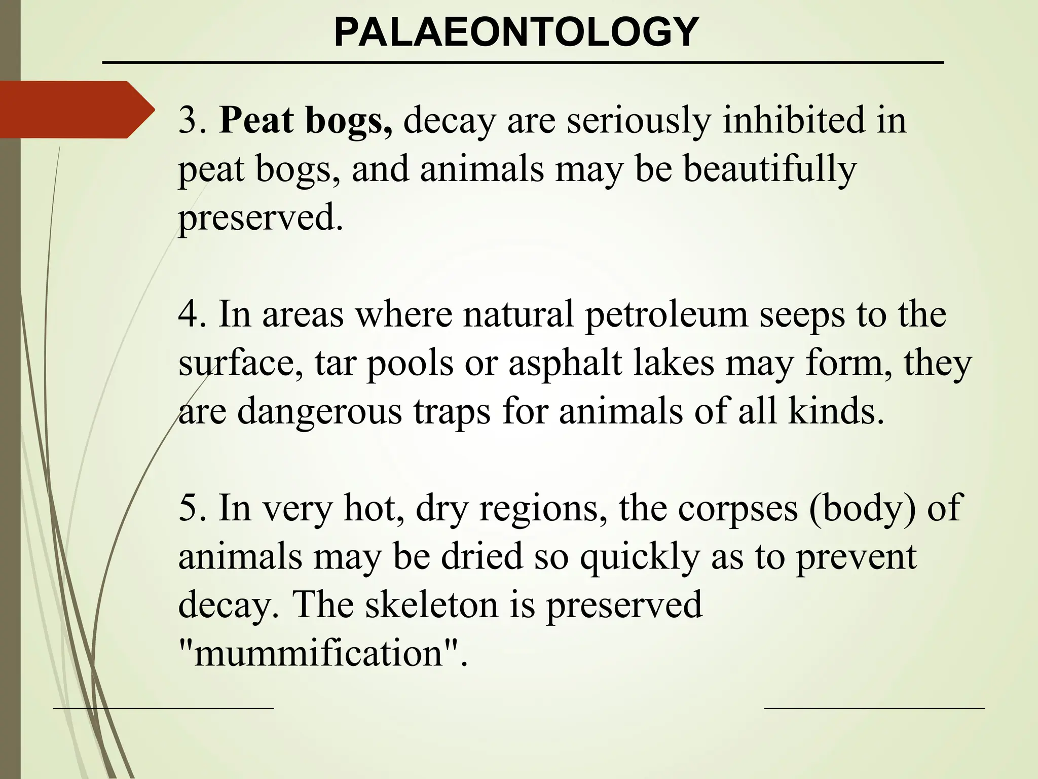 Introduction To Paleontology for MSc and BS Students | PPT