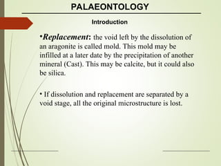 Introduction To Paleontology for MSc and BS Students | PPT
