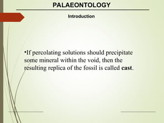 Introduction To Paleontology for MSc and BS Students | PPT
