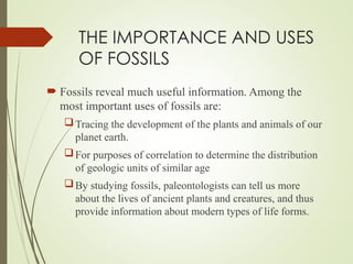 Introduction To Paleontology for MSc and BS Students | PPT