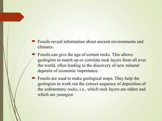 Introduction To Paleontology for MSc and BS Students | PPT