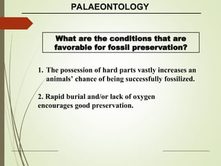 Introduction To Paleontology for MSc and BS Students | PPT
