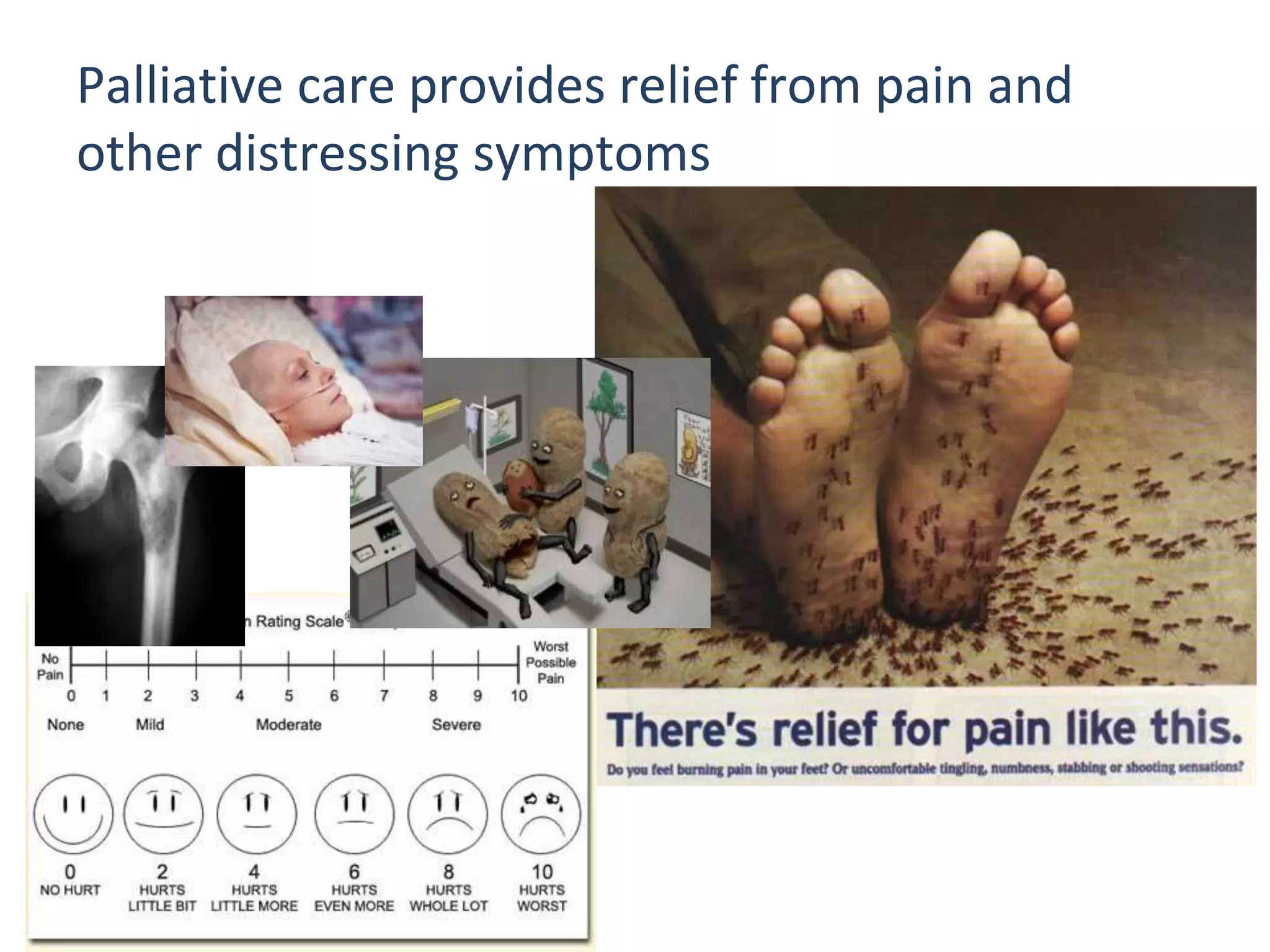 Introduction to palliative care | PPTX