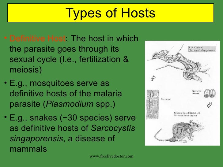 Introduction To Parasitology