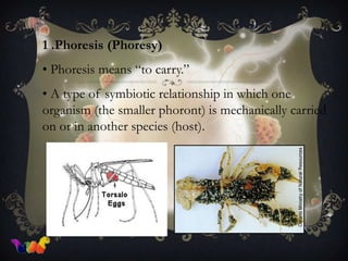 Introduction to parasitology | PPTX