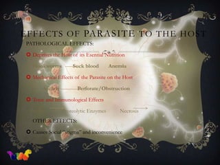 Introduction to parasitology | PPTX