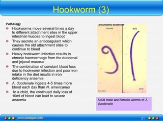 Introduction to Parasitology & Lab Diagnosis of Parasitic oke.ppt