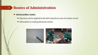 Introduction to parenteral products and routes of administration | PDF