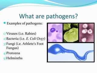 Introduction to pathogens by sanchay gupta | PPT