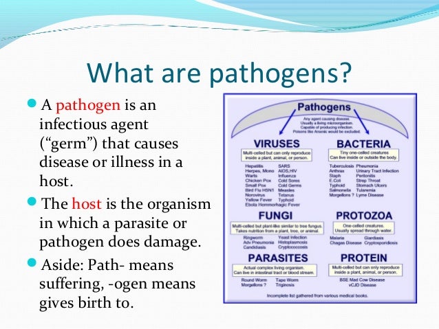 Introduction to pathogens by sanchay gupta