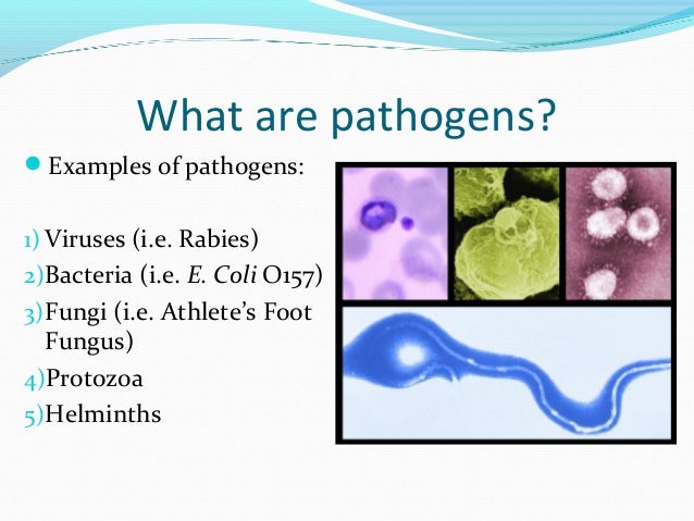 Introduction to pathogens by sanchay gupta