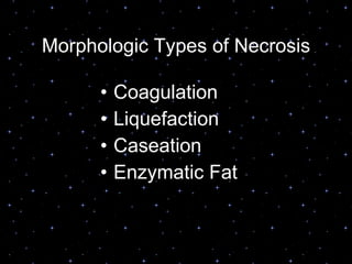 Introduction to pathology | PPT