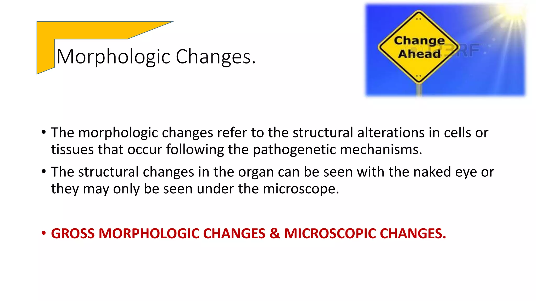 Introduction to pathology | PPTX