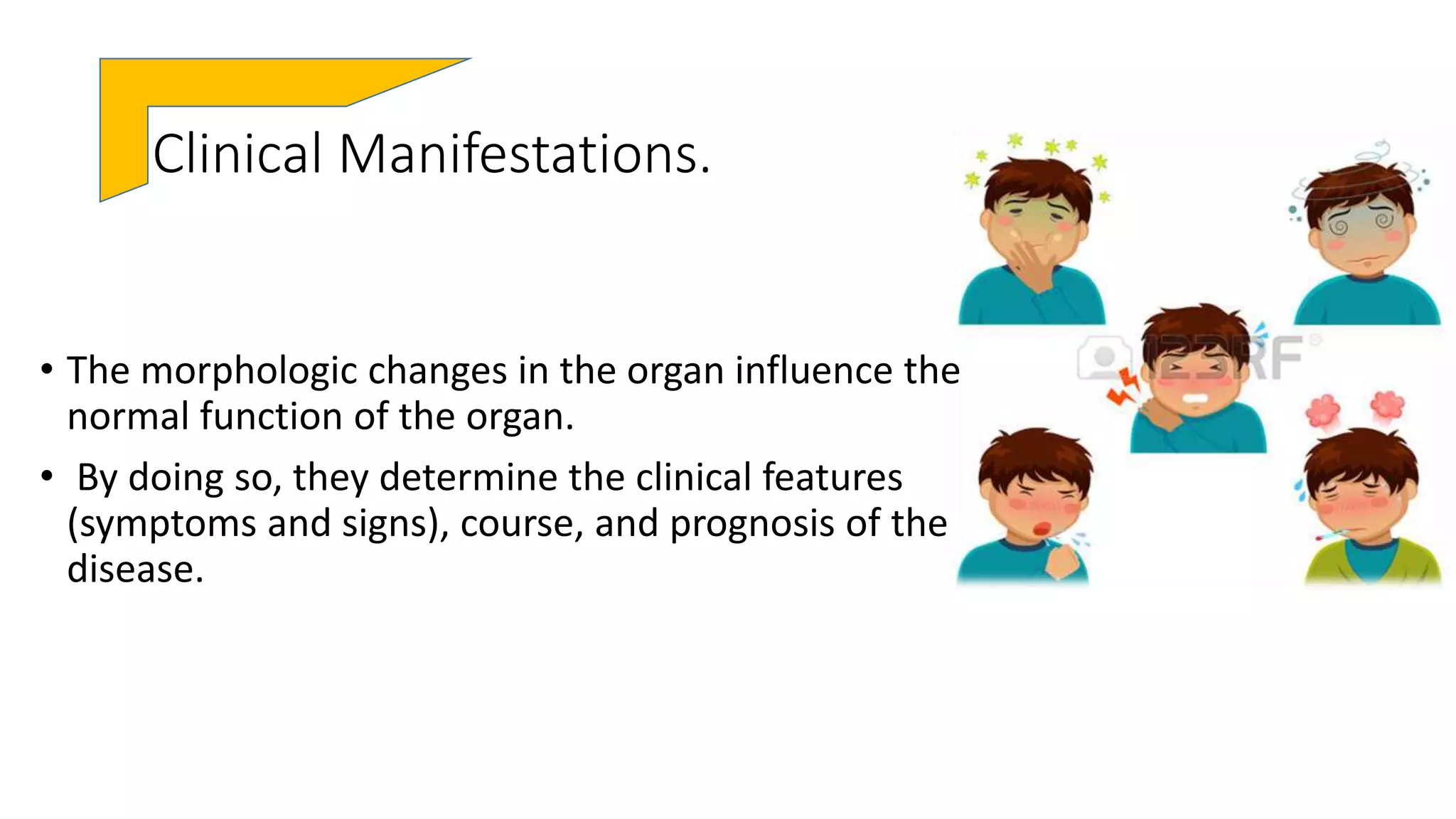 Introduction to pathology | PPTX