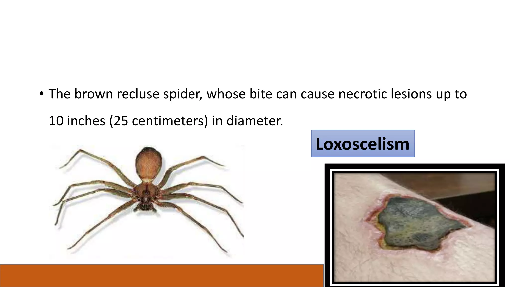 Introduction to pathology | PPTX