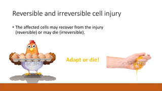 Introduction to pathology | PPTX