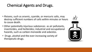 Introduction to pathology | PPTX