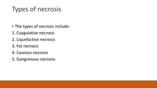 Introduction to pathology | PPTX