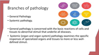 Introduction to pathology | PPTX