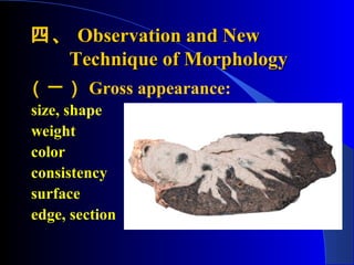 Introduction to pathology | PPT