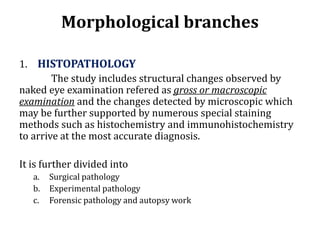 Introduction to pathology | PPTX