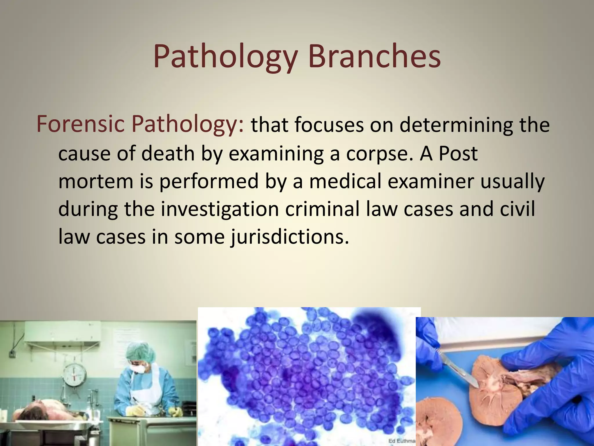 Introduction to pathology | PPTX