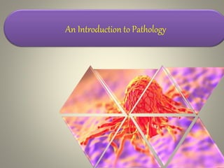 Introduction to pathology | PPTX