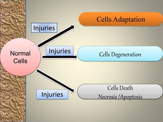 Introduction to pathology | PPTX
