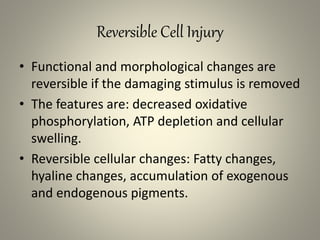 Introduction to pathology | PPTX