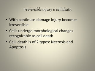 Introduction to pathology | PPTX