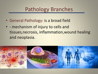 Introduction to pathology | PPTX