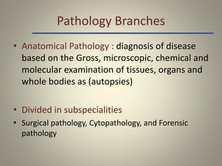 Introduction to pathology | PPTX