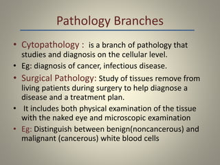 Introduction to pathology | PPTX