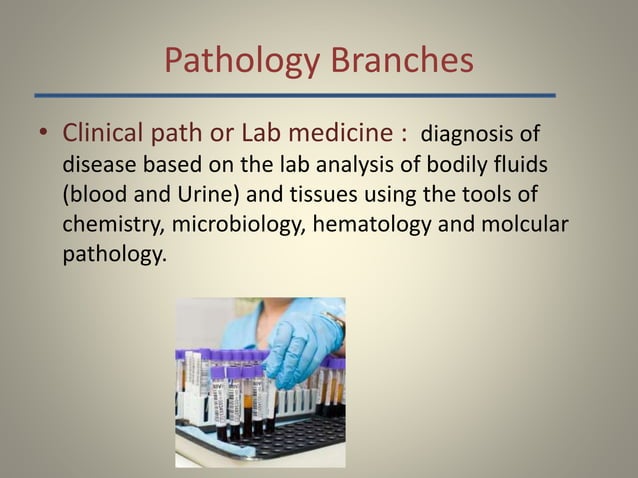 Introduction to pathology | PPTX | Diseases and Conditions | Medical Health