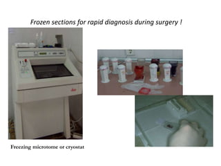 Introduction to pathology | PPT