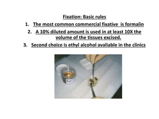 Introduction to pathology | PPT