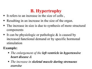 Introduction to pathology.pptx