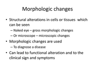 Introduction to Pathology.pptx