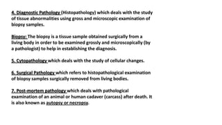 INTRODUCTION TO PATHOLOGY ,BRANCHES OF PATHOLOGY .pdf