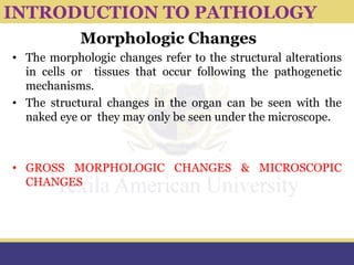 INTRODUCTION TO PATHOLOGY (1).ppt
