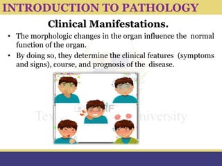 INTRODUCTION TO PATHOLOGY (1).ppt