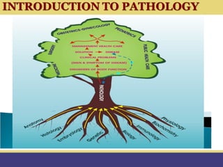 INTRODUCTION TO PATHOLOGY (1).ppt