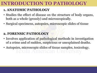 INTRODUCTION TO PATHOLOGY (1).ppt